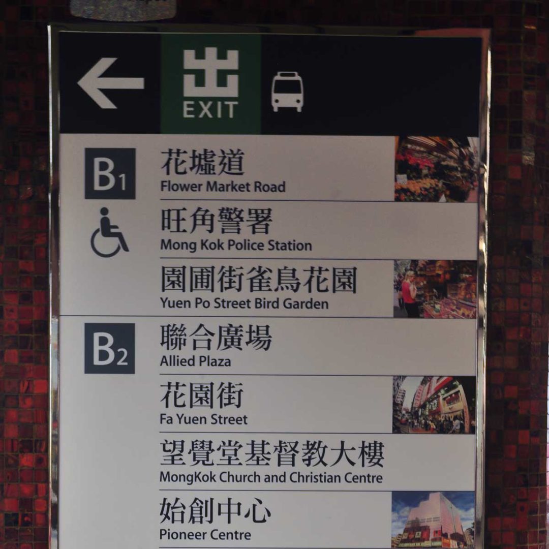 The Ultimate Guide to the MTR